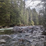 Franklin Falls Trail, Washington - 5,123 Reviews, Map | AllTrails