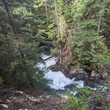 Franklin Falls Trail, Washington - 5,092 Reviews, Map | AllTrails