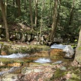 Prospect Rock Trail, Vermont - 946 Reviews, Map | AllTrails