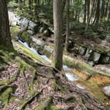 Prospect Rock Trail, Vermont - 946 Reviews, Map | AllTrails