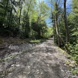 Prospect Rock Trail, Vermont - 946 Reviews, Map | AllTrails