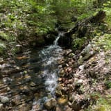 Prospect Rock Trail, Vermont - 946 Reviews, Map | AllTrails