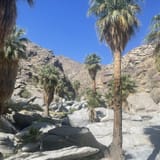 Palm Canyon Trail, California - 1,448 Reviews, Map | AllTrails