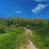 Ryan Park Loop, Rhode Island - 422 Reviews, Map | AllTrails