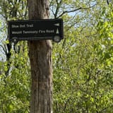 Mount Tammany via Red Dot and Blue Dot Loop Trail, New Jersey - 13,268 ...