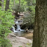 Mount Tammany via Red Dot and Blue Dot Loop Trail, New Jersey - 13,268 ...