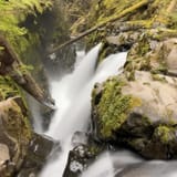Sol Duc Falls Trail, Washington - 4,638 Reviews, Map | AllTrails
