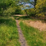 Ryan Park Loop, Rhode Island - 422 Reviews, Map | AllTrails