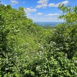 Black Ridge Trail, Virginia - 655 Reviews, Map | AllTrails