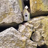 Methuen Rail Trail From Hampshire Road, Massachusetts - 374 Reviews ...