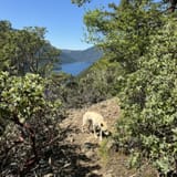 Wesley Ridge, British Columbia, Canada - 776 Reviews, Map | AllTrails