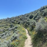 Polecat Short Loop, Idaho - 394 Reviews, Map | AllTrails