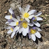 Turtle Rock Loop Trail, Wyoming - 1,153 Reviews, Map | AllTrails