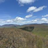 Mount Tremper Trail, New York - 1,591 Reviews, Map | AllTrails