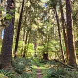 Sam's River Trail, Washington - 85 Reviews, Map | AllTrails