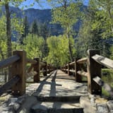 Sentinel Meadow Cook's Meadow Loop Trail, California - 3,211 Reviews ...