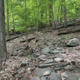 Palisades Long Path Loop, New Jersey - 2,025 Reviews, Map | AllTrails