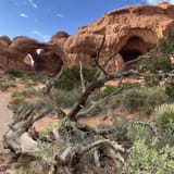 Double Arch Trail, Utah - 4,557 Reviews, Map | AllTrails