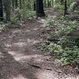Deep Run Park Perimeter Trail, Virginia - 1,037 Reviews, Map | AllTrails