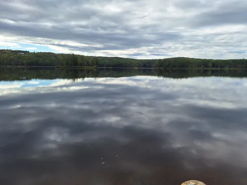 Best Lake Trails in Tully Lake Recreation Area | AllTrails