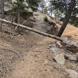 Columbine Trail, Colorado - 2,000 Reviews, Map | AllTrails