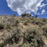 PC Hill Trail, Utah - 734 Reviews, Map | AllTrails