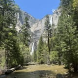 Sentinel Meadow Cook's Meadow Loop Trail, California - 3,242 Reviews ...