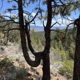 Dry Pond Loop, Nevada - 1,505 Reviews, Map | AllTrails