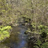 King Benson Preserve Trail, Rhode Island - 584 Reviews, Map | AllTrails