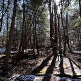 Morrison and Rimrock Trail Loop, Pennsylvania - 546 Reviews, Map ...