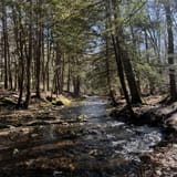Morrison and Rimrock Trail Loop, Pennsylvania - 546 Reviews, Map ...