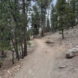 Panorama Point via Panorama Point and Bear Creek Trail, Colorado ...