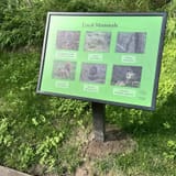 Spring Creek Nature Area Trail, Texas - 998 Reviews, Map | AllTrails