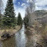 Telluride River Trail, Colorado - 1,008 Reviews, Map | AllTrails