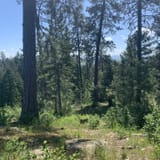 Rathdrum Mountain Trail, Idaho - 323 Reviews, Map | AllTrails