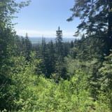 Rathdrum Mountain Trail, Idaho - 323 Reviews, Map | AllTrails