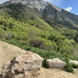 Neff's Canyon Loop, Utah - 2,528 Reviews, Map | AllTrails