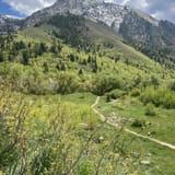Neff's Canyon Loop, Utah - 2,542 Reviews, Map | AllTrails
