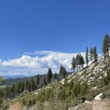 Cal-Neva Loop via Van Sickle Trail, Nevada - 1,035 Reviews, Map | AllTrails