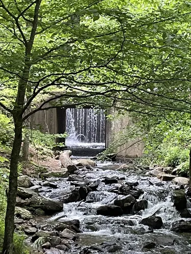 Best Moderate Trails in Marble Hill | AllTrails