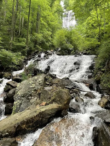 Best Moderate Trails in Marble Hill | AllTrails