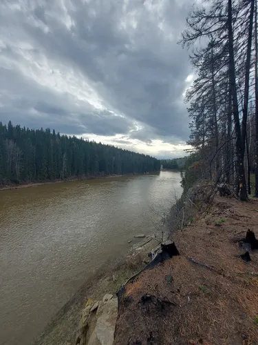 Best Forest Trails in Edson | AllTrails