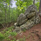 Occoneechee Mountain Loop Trail, North Carolina - 3,185 Reviews, Map ...