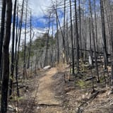 Arethusa Falls and Frankenstein Cliff Loop, New Hampshire - 2,080 ...