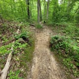 Panther Den Loop, Illinois - 1,021 Reviews, Map | AllTrails
