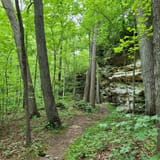 Panther Den Loop, Illinois - 1,021 Reviews, Map | AllTrails