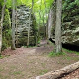 Panther Den Loop, Illinois - 1,021 Reviews, Map | AllTrails