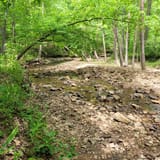 Panther Den Loop, Illinois - 1,021 Reviews, Map | AllTrails