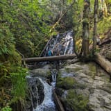 Dickerson Falls, Washington - 2,387 Reviews, Map | AllTrails