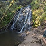 Dickerson Falls, Washington - 2,387 Reviews, Map | AllTrails
